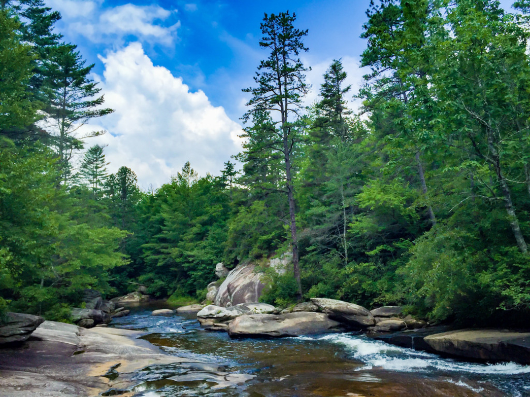 Hiking DuPont Forest | Diamond Brand Outdoors